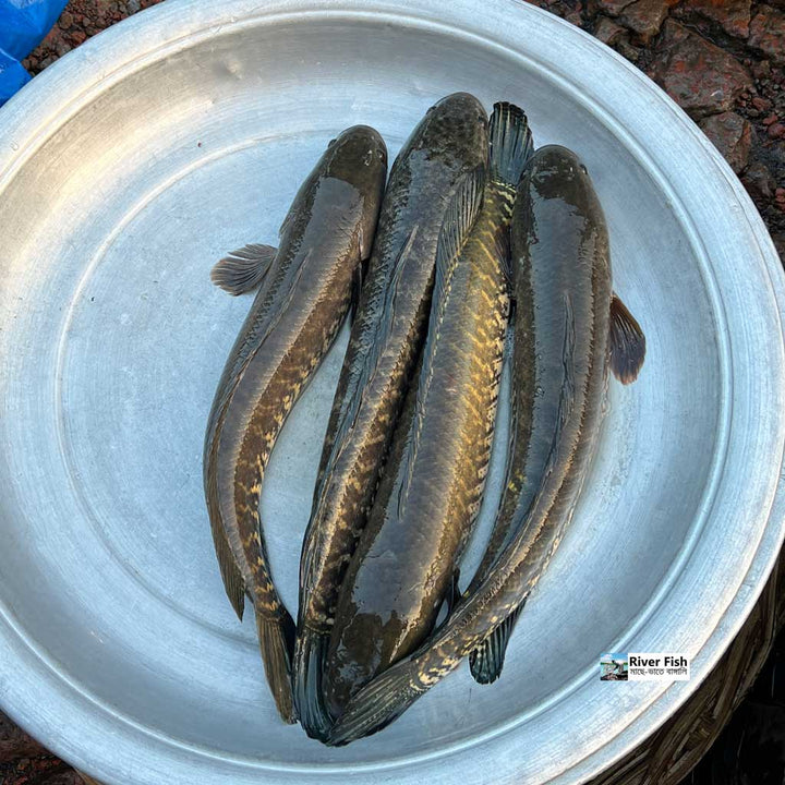 বিলের দেশি মাছ - River Fish