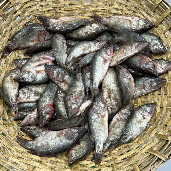 হাওড়ের দেশি মেনি মাছ - River Fish