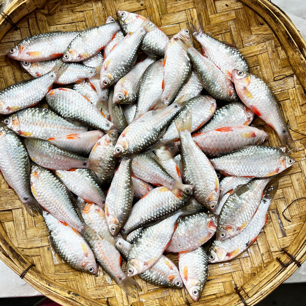 River Fish - Online Fish & Meat Shopping and Delivery in Dhaka