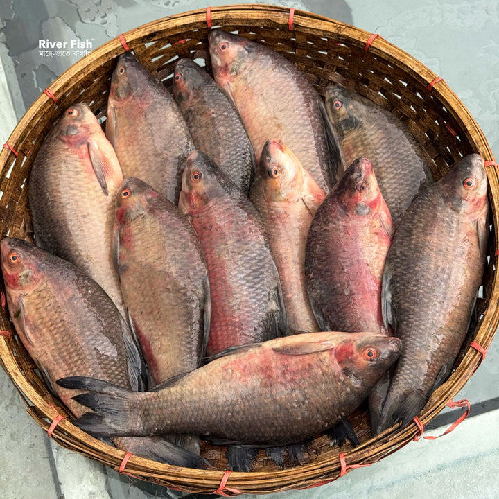 River Fish - Online Fish & Meat Shopping and Delivery in Dhaka