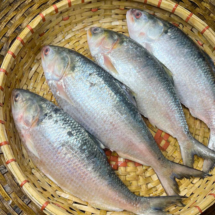 River Fish - Online Fish & Meat Shopping and Delivery in Dhaka