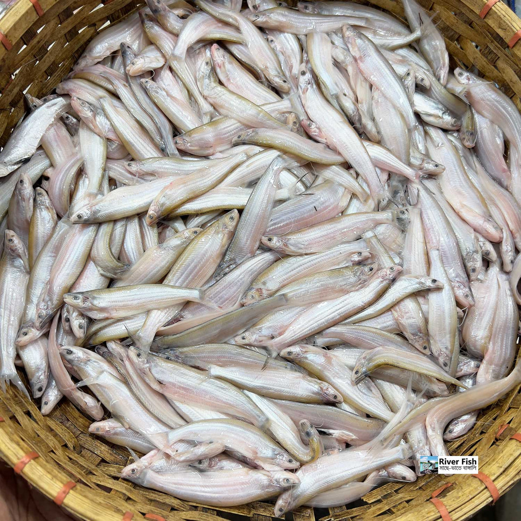 River Fish - Online Fish & Meat Shopping and Delivery in Dhaka