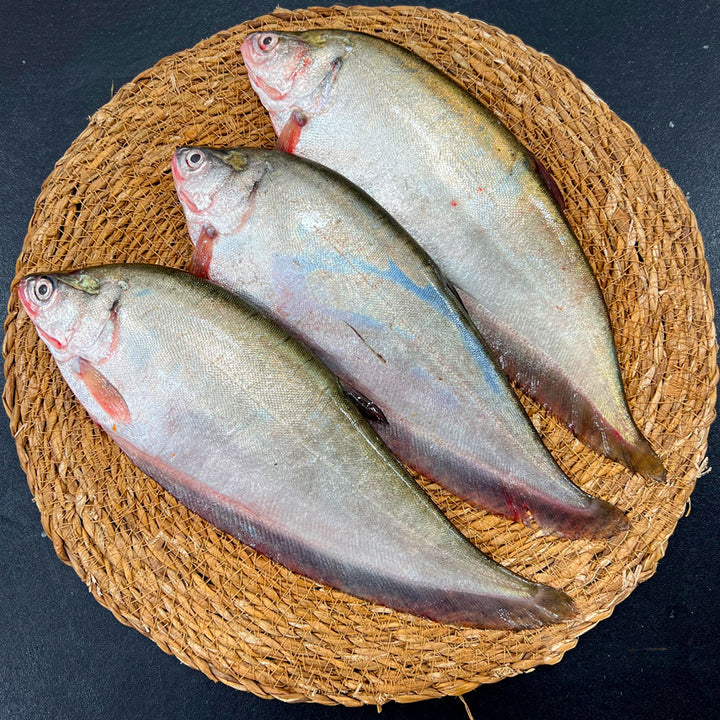 বিলের দেশি মাছ - River Fish