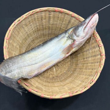 River Fish - Online Fish & Meat Shopping and Delivery in Dhaka