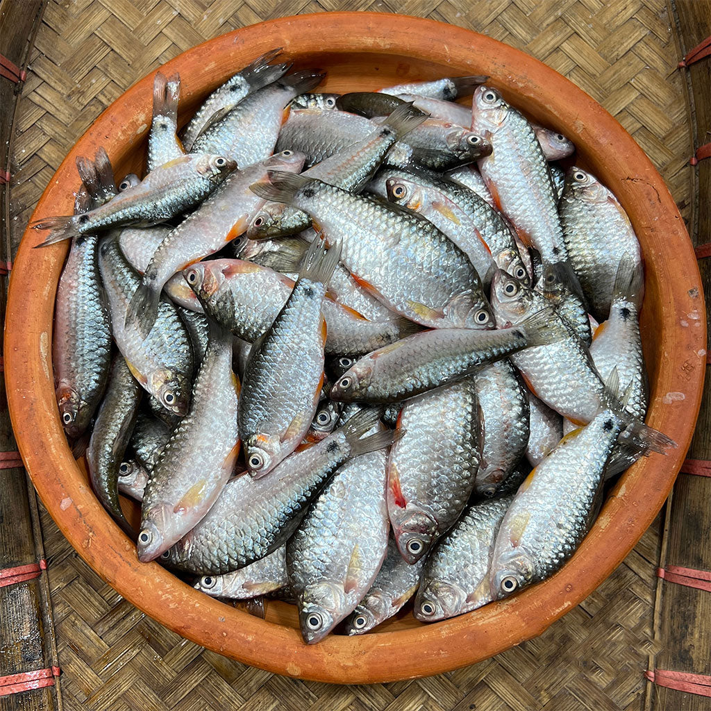 বিলের দেশি পুটি - River Fish